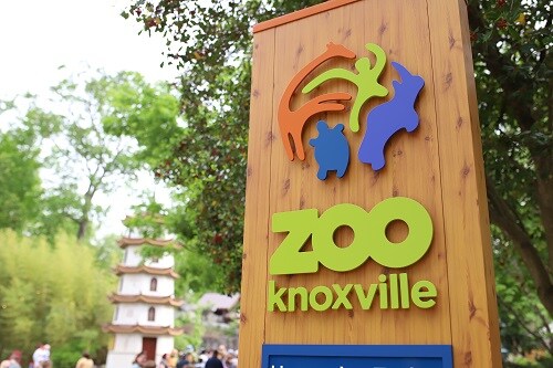 Beyond the Exhibit: An American National Zoo Day Spotlight on Zoo ...